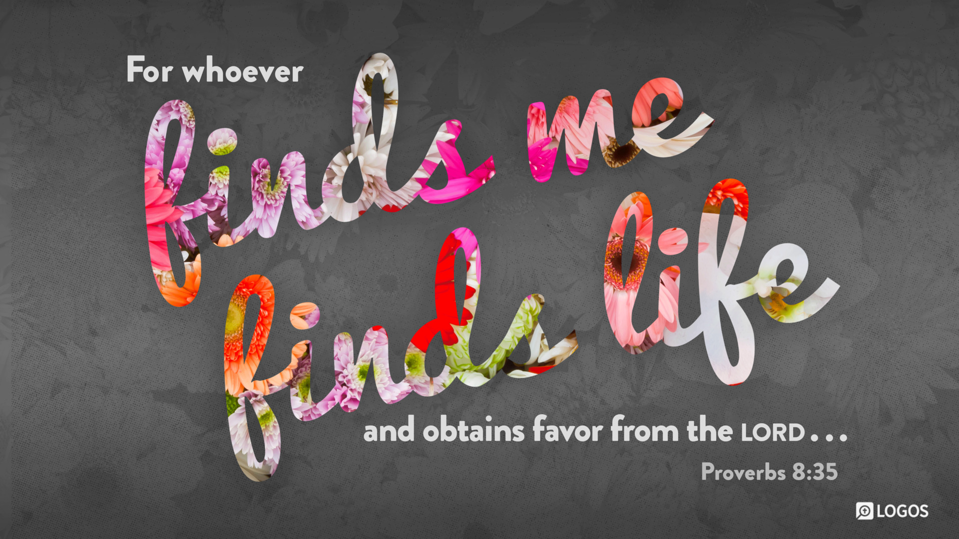 Proverbs 8 35