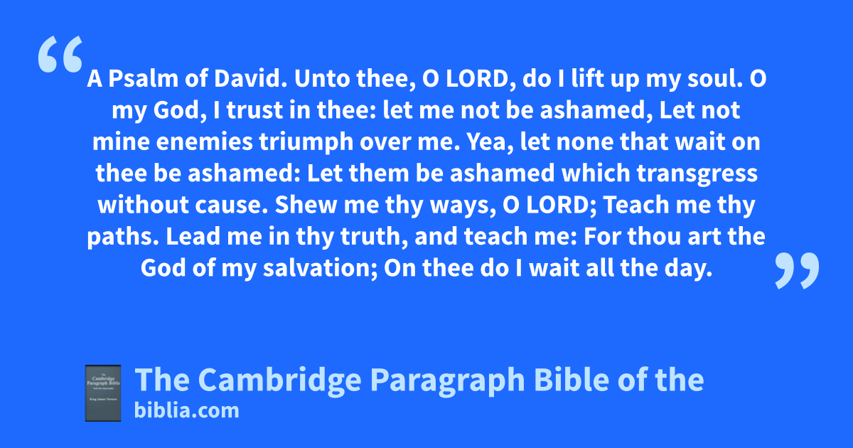 The Cambridge Paragraph Bible of the Authorized English Version (Biblia ...