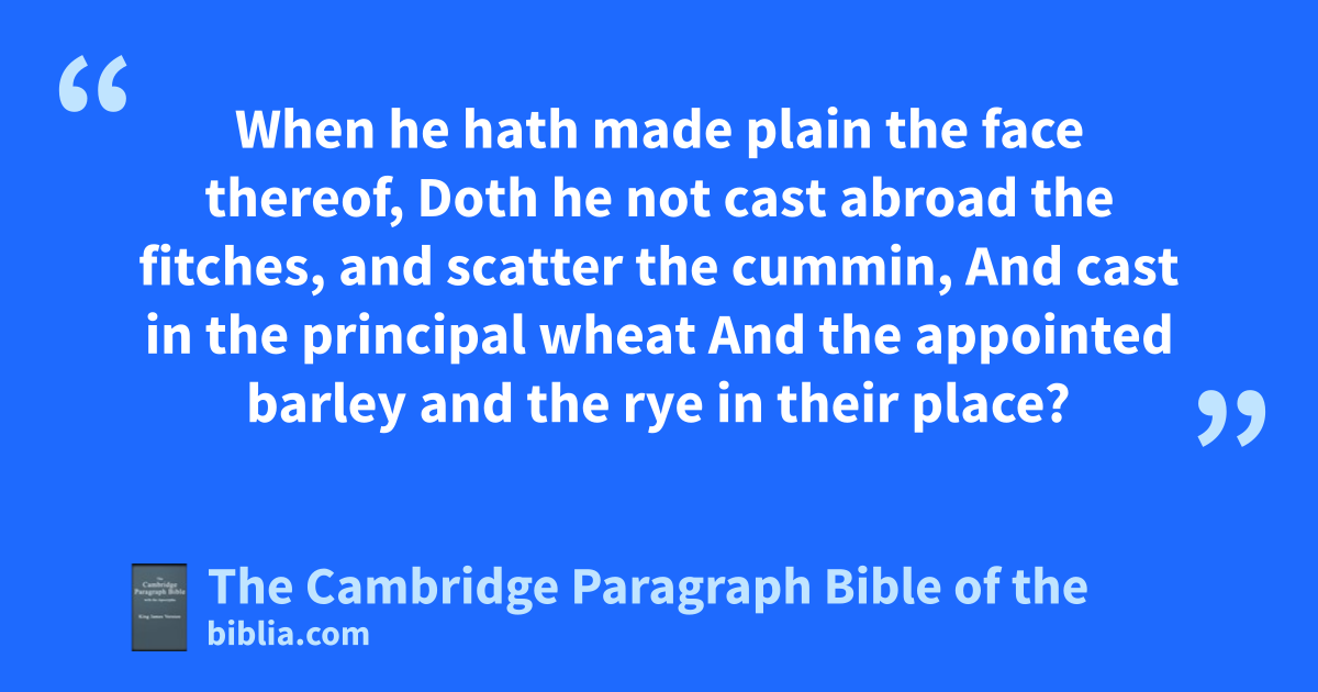 The Cambridge Paragraph Bible of the Authorized English Version (Biblia ...