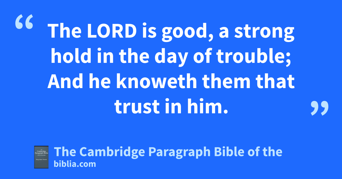 The Cambridge Paragraph Bible of the Authorized English Version (Biblia ...