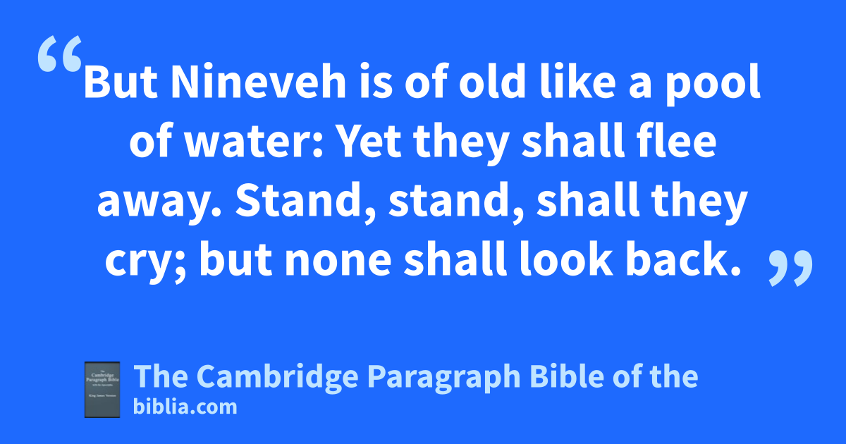 The Cambridge Paragraph Bible of the Authorized English Version (Biblia ...