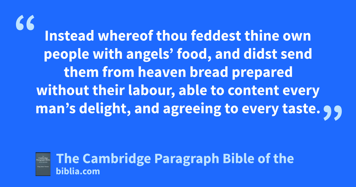 The Cambridge Paragraph Bible of the Authorized English Version (Biblia ...