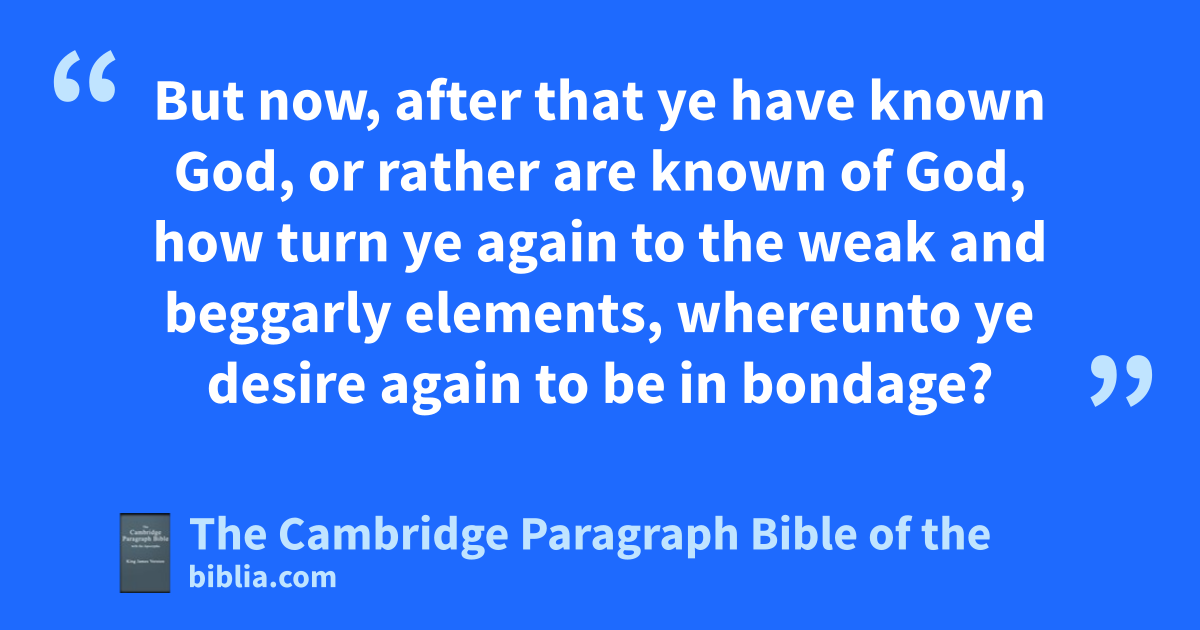 The Cambridge Paragraph Bible of the Authorized English Version (Biblia ...
