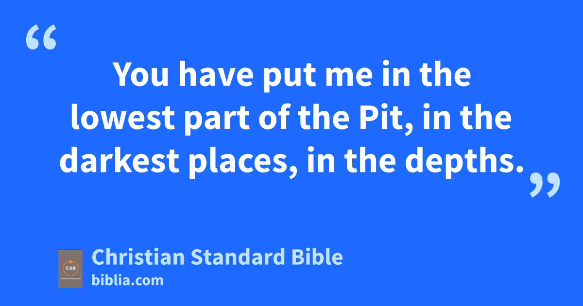 Christian Standard Bible (Biblia.com)