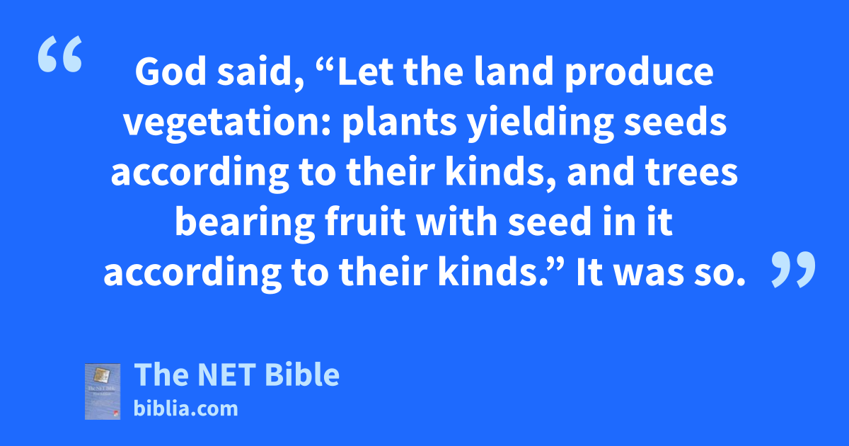 The NET Bible (Biblia.com)