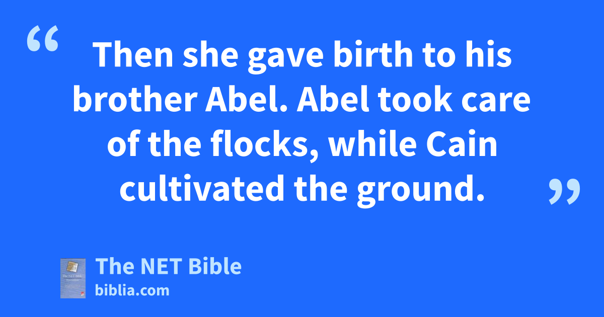 The NET Bible (Biblia.com)