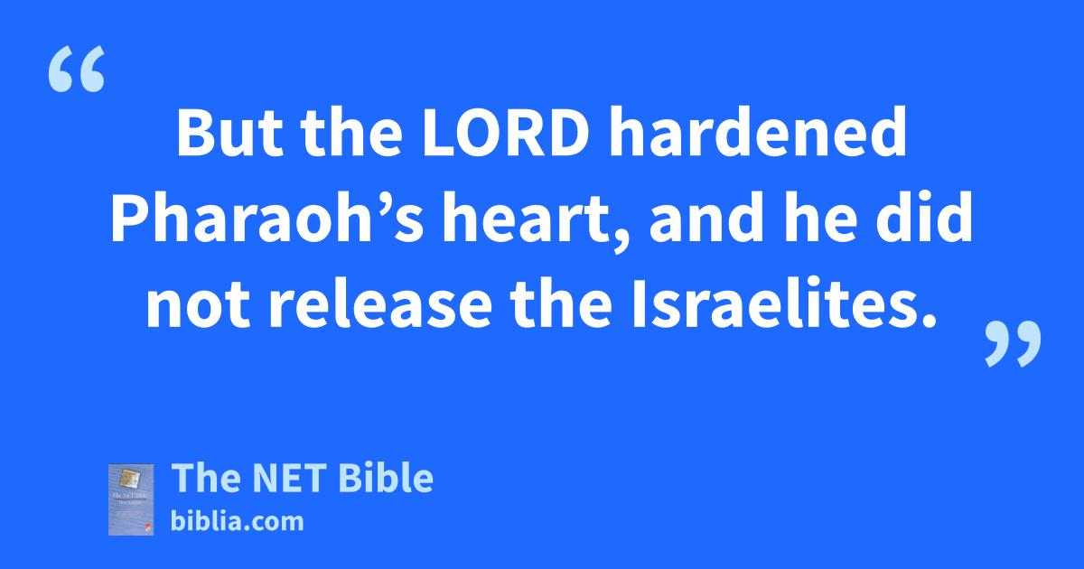 The NET Bible (Biblia.com)