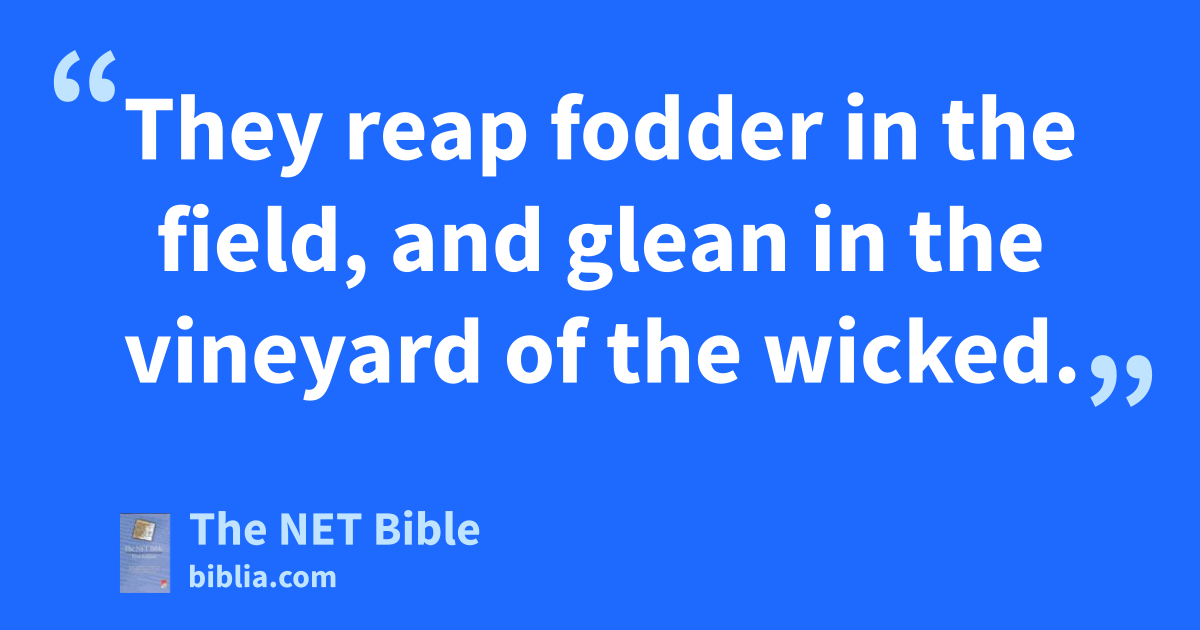 The NET Bible (Biblia.com)