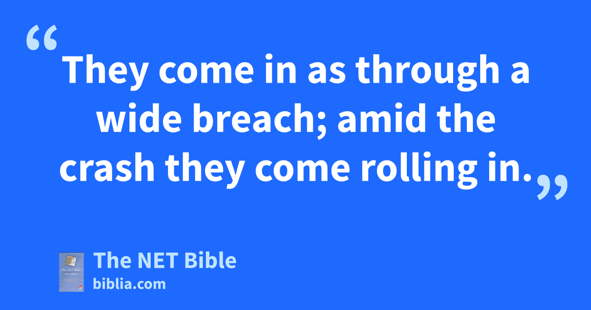 The NET Bible (Biblia.com)