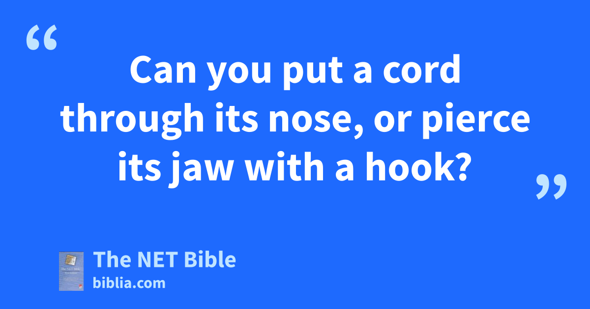 The NET Bible (Biblia.com)