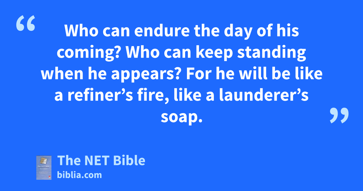 The NET Bible (Biblia.com)