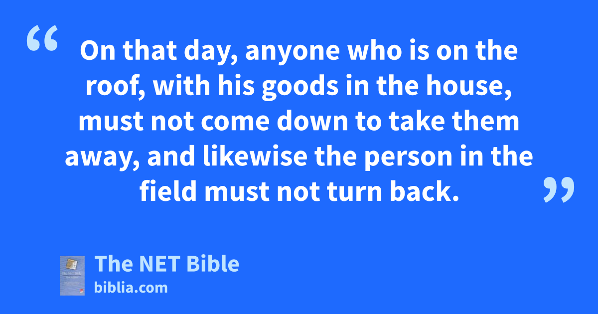 The NET Bible (Biblia.com)
