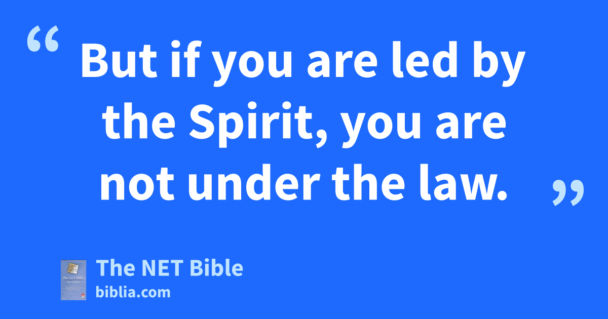 The NET Bible (Biblia.com)