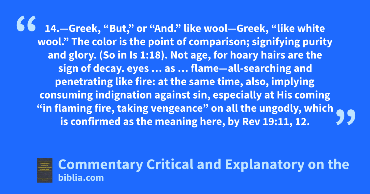 Commentary Critical and Explanatory on the Whole Bible (Biblia.com)