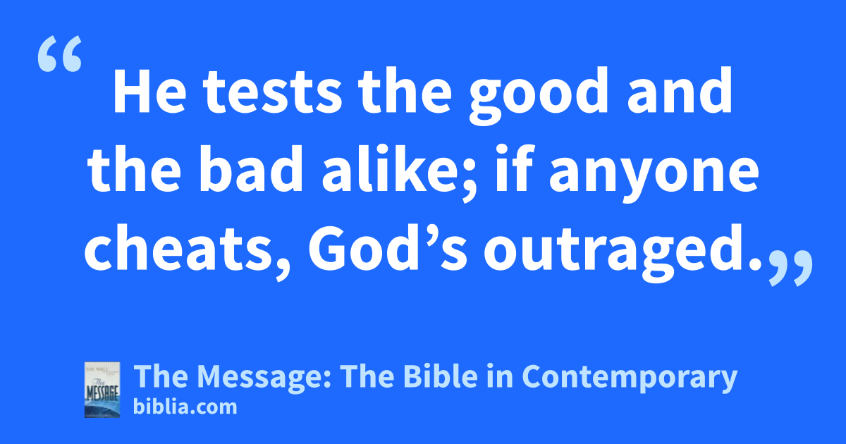 The Message: The Bible in Contemporary Language (Biblia.com)