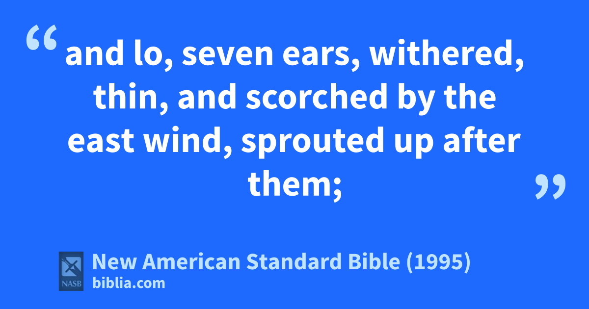 New American Standard Bible (1995) (Biblia.com)