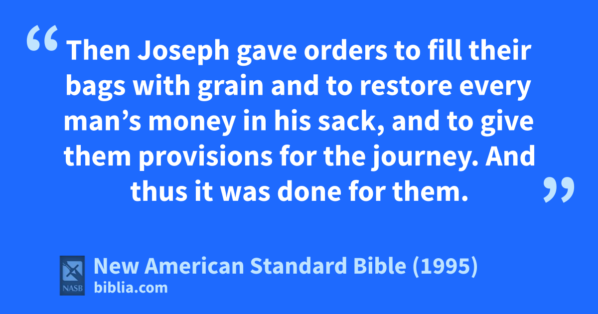 New American Standard Bible (1995) (Biblia.com)