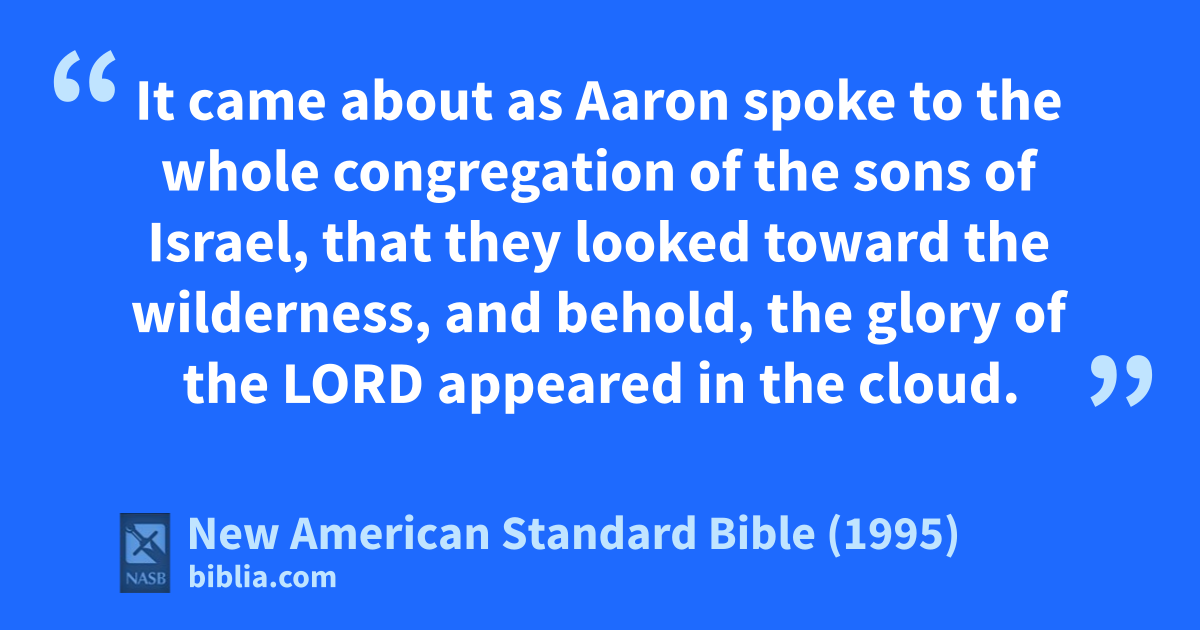 New American Standard Bible (1995) (Biblia.com)
