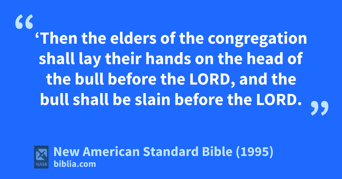 New American Standard Bible: 1995 Update (Biblia.com)