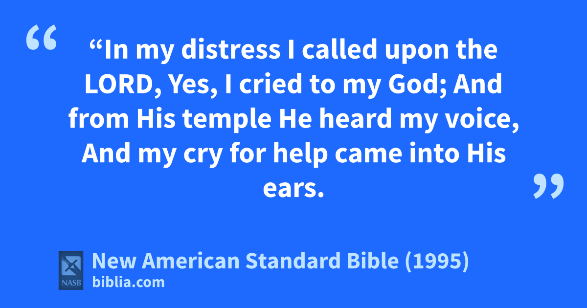 New American Standard Bible (1995) (Biblia.com)