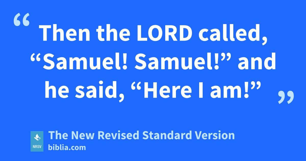The New Revised Standard Version (Biblia.com)