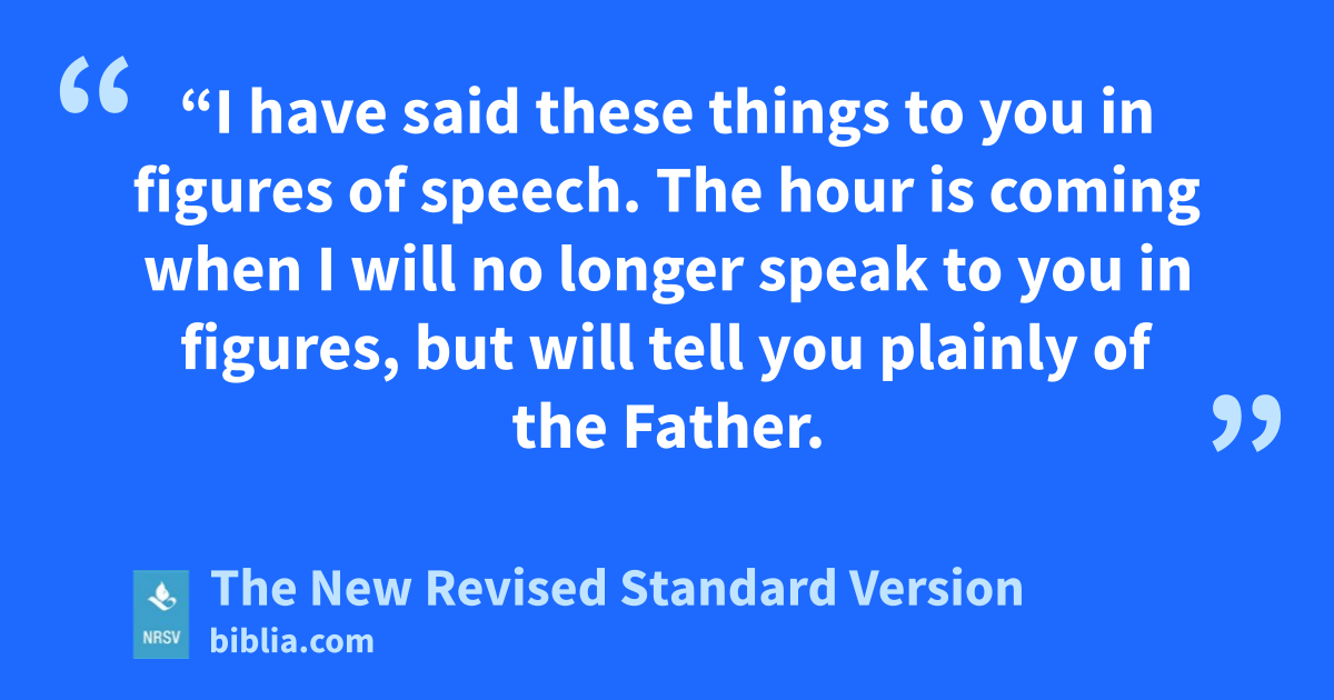 The New Revised Standard Version (Biblia.com)